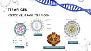 Terapi Gen_Fitri Damayanti_Universitas Indraprasta PGRI | PDF