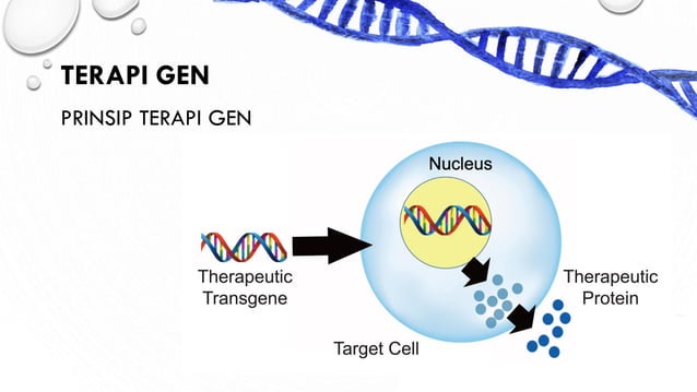 Terapi Gen_Fitri Damayanti_Universitas Indraprasta PGRI | PDF