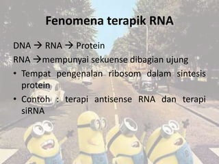 Terapi gen kanker | PPT