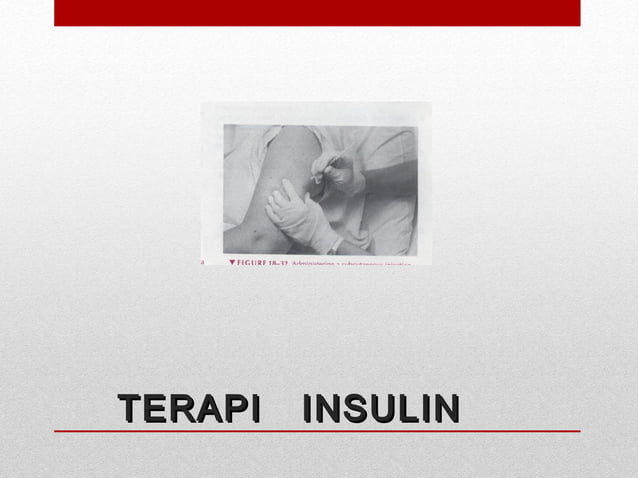 TERAPI INSULIN | PPT
