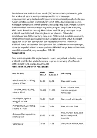 terapi isk (Infeksi Saluran Kemih) .docx