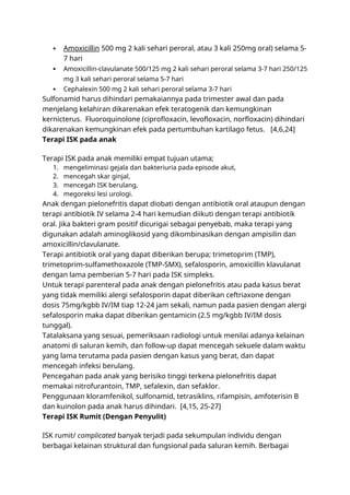 terapi isk (Infeksi Saluran Kemih) .docx