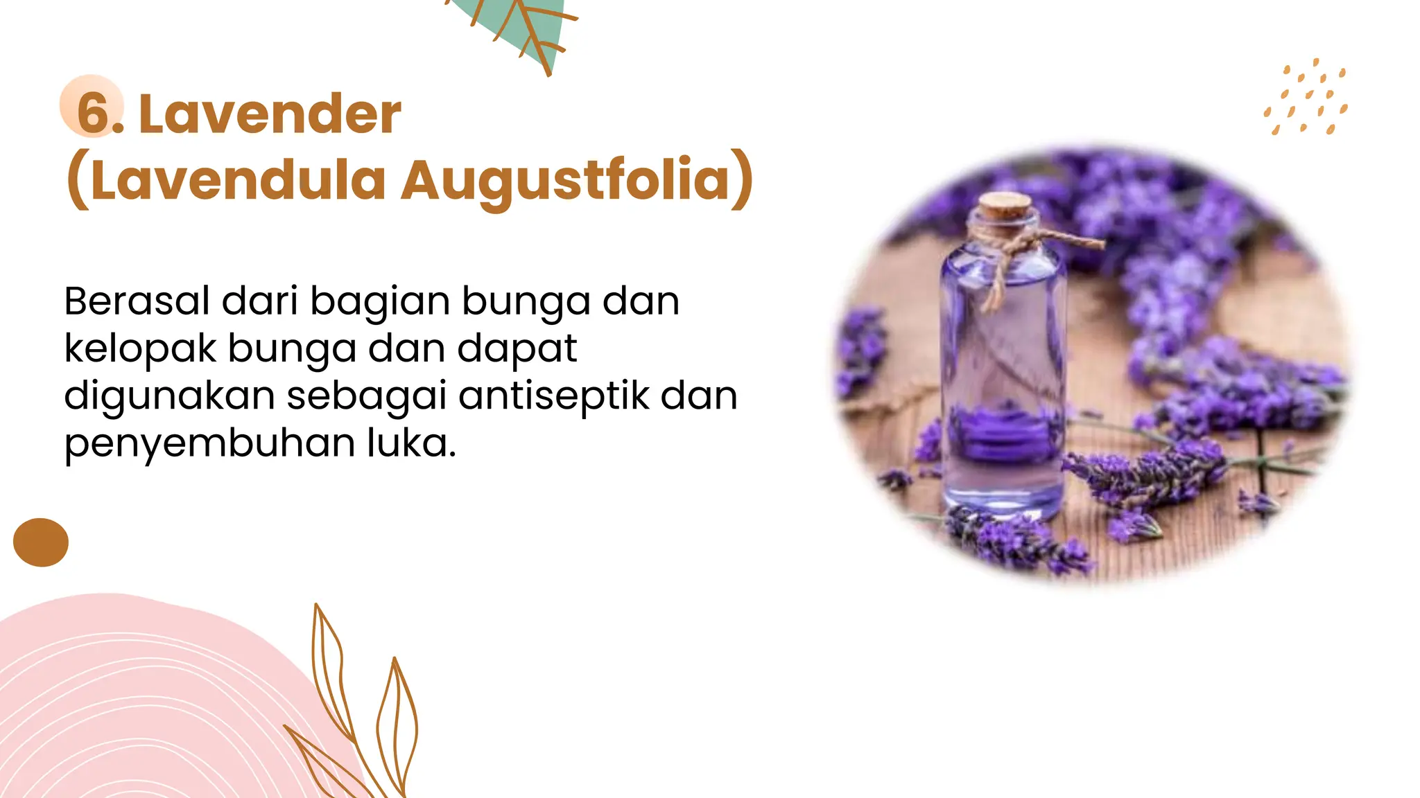 Terapi Komplementer Aromaterapi KEL.4.pptx