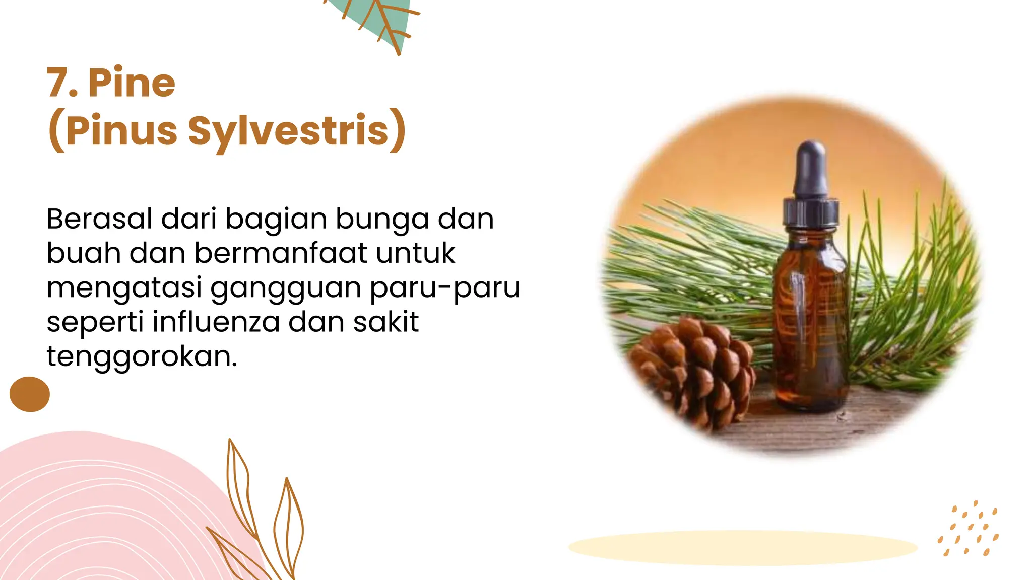 Terapi Komplementer Aromaterapi KEL.4.pptx