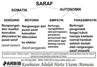 Terapi listrik | PPT