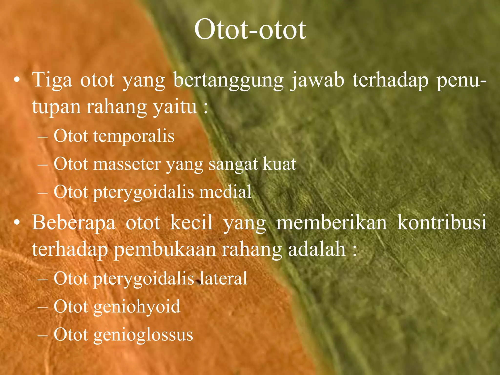 Terapi manual TMJ dalam Fisioterapi | PPTX