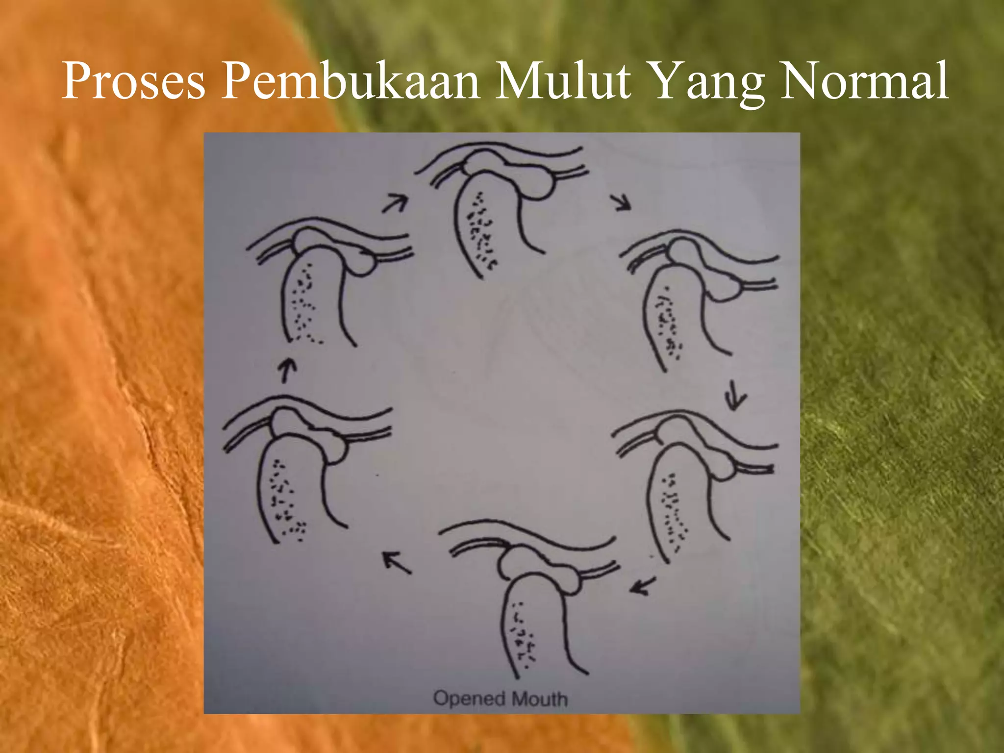 Terapi manual TMJ dalam Fisioterapi | PPTX