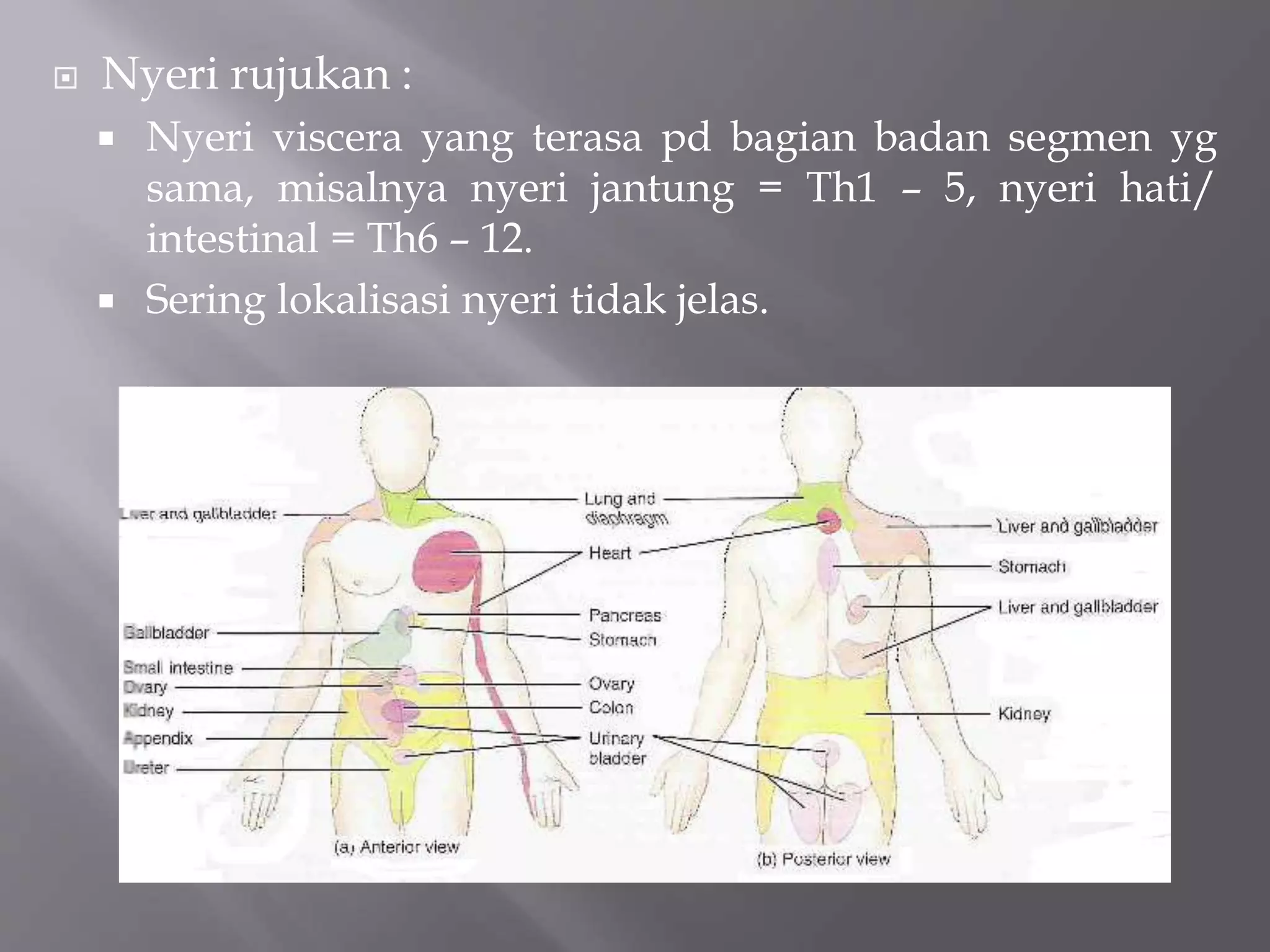 Terapi manual TMJ dalam Fisioterapi | PPTX