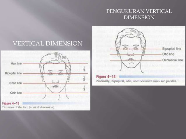 Terapi manual TMJ dalam Fisioterapi | PPT Terapi manual TMJ dalam Fisioterapi | PPT
