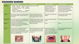 Terapi obat exfoliative cheilitis ilmu penyakit mulut | PPT