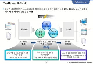 TeraStream for ETL | PDF