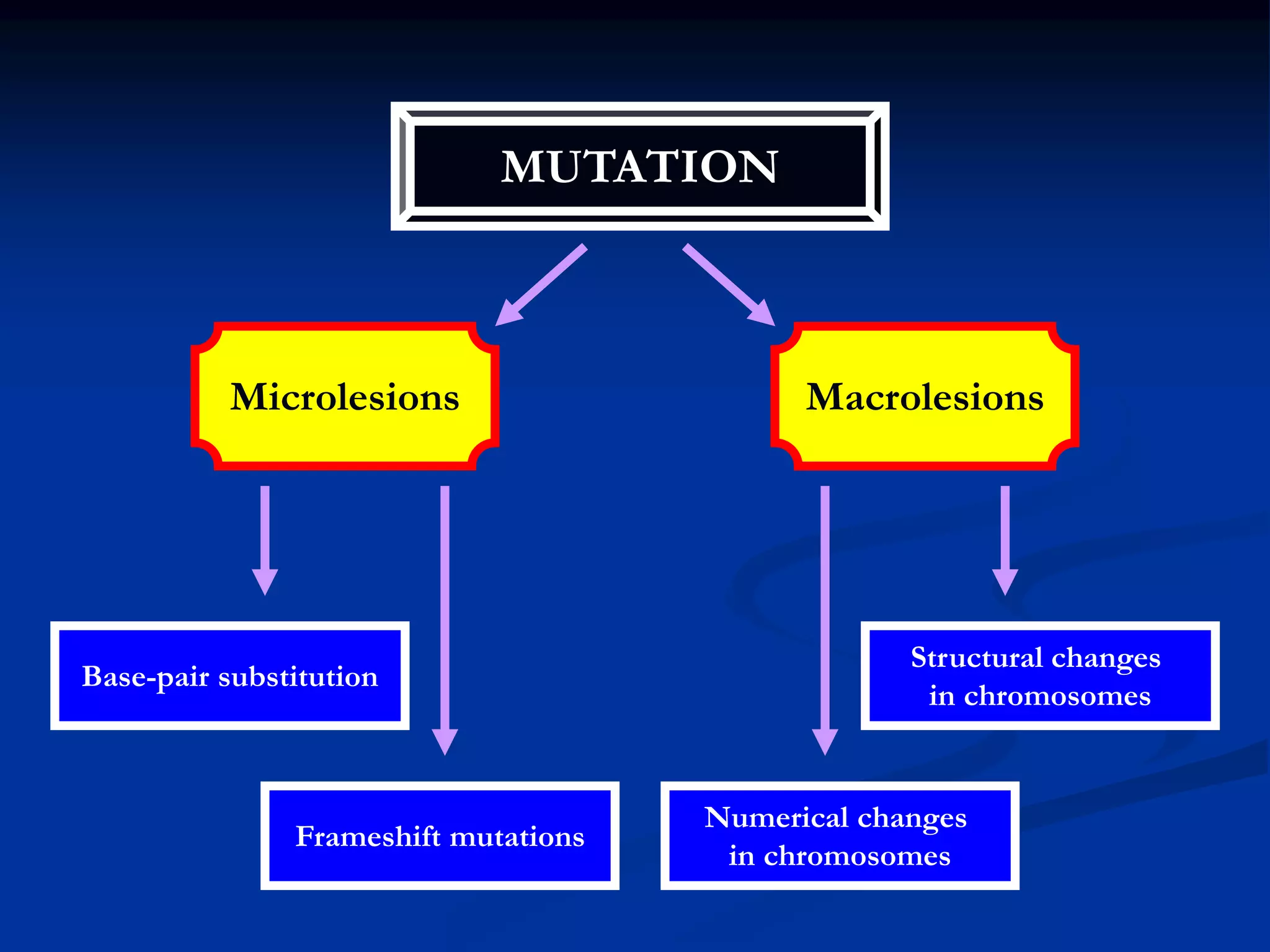 Teratogen-Mutagen.ppt