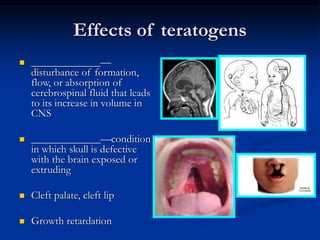 Teratogen-Mutagen.ppt