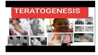 Teratogenesis | PDF