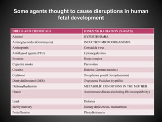Teratogenesis | PPTX