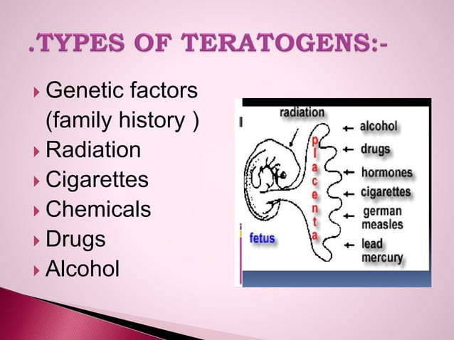 Teratogens And Cleft Types | PPTX