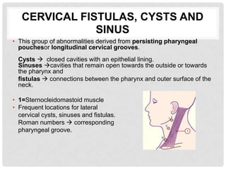 Teratologi sistem digestive dr.Adhita Dwi Aryanti.,M.Kes