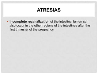 Teratologi sistem digestive dr.Adhita Dwi Aryanti.,M.Kes