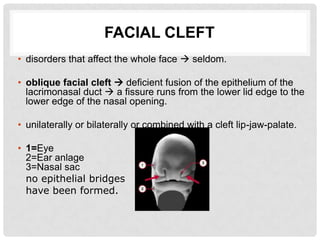 Teratologi sistem digestive dr.Adhita Dwi Aryanti.,M.Kes