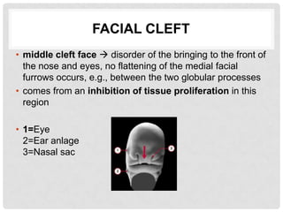 Teratologi sistem digestive dr.Adhita Dwi Aryanti.,M.Kes
