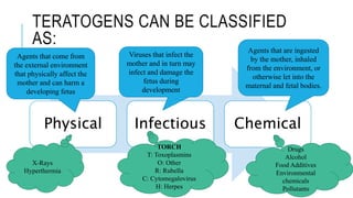 TERATOLOGY.pptx