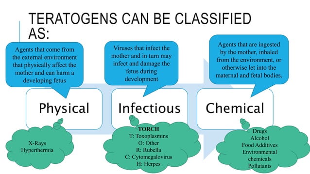 TERATOLOGY.pptx | Pregnancy | Reproductive Health