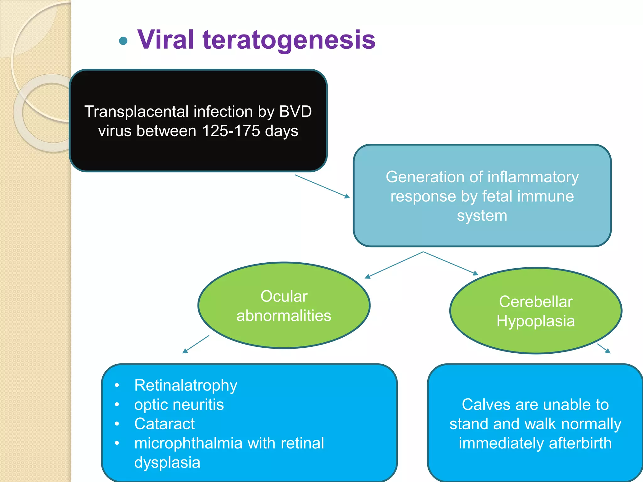 Teratology of calf | PPTX