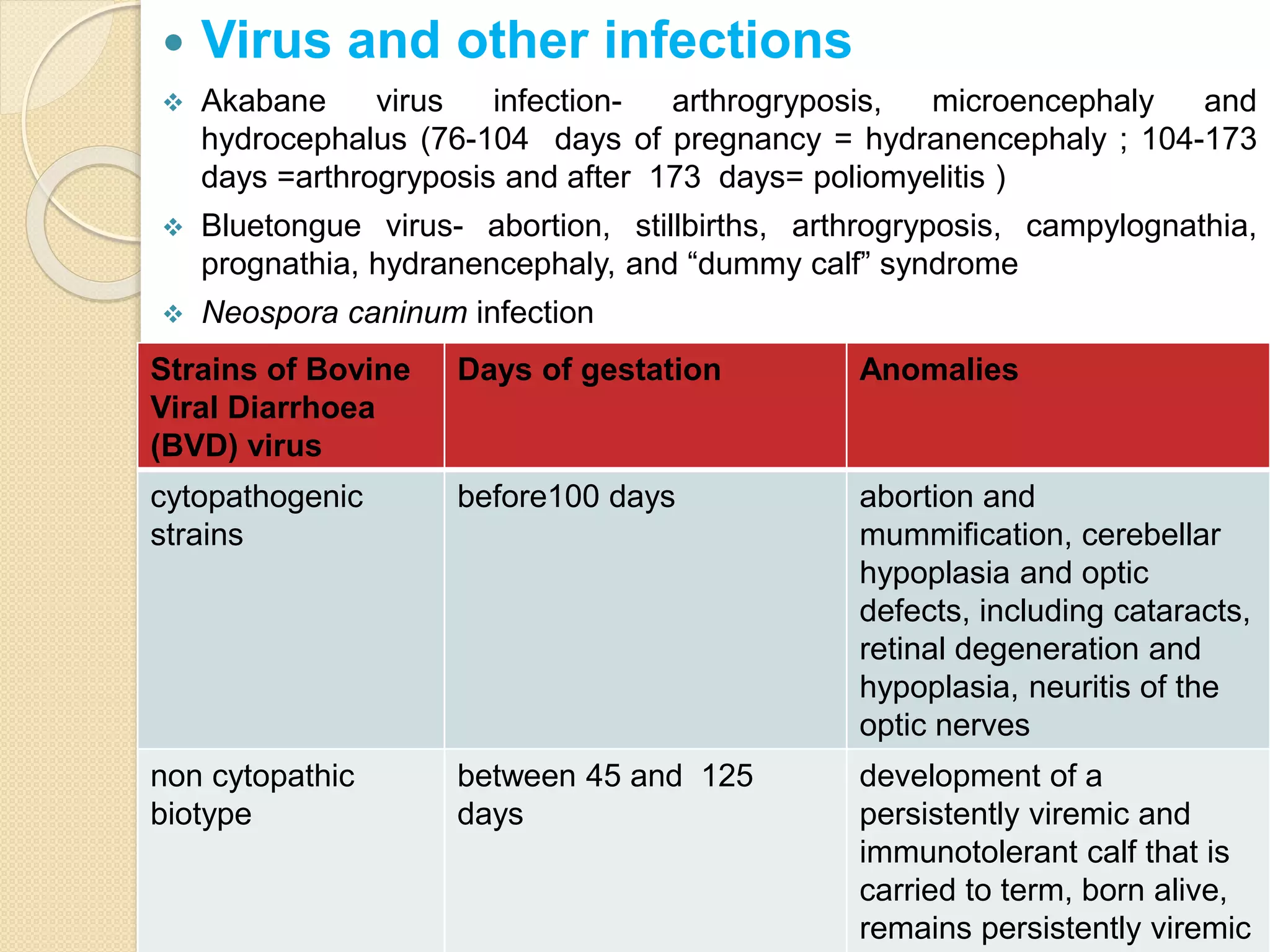 Teratology of calf | PPTX