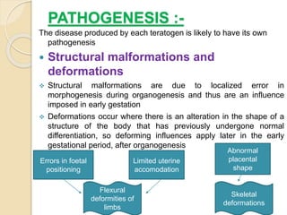 Teratology of calf | PPT