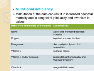 Teratology of calf | PPTX