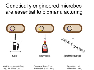 Harnessing Microbe-Electrode Interactions for Bioenergy | PDF