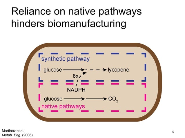Harnessing Microbe-Electrode Interactions for Bioenergy | PPT