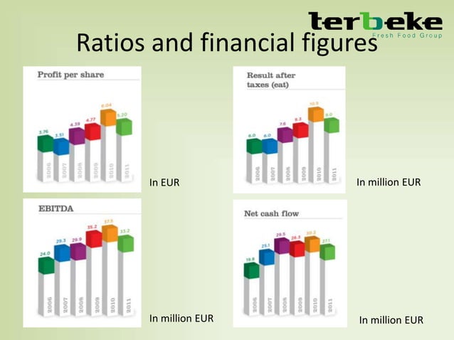 Ter beke company (euronext) financial statistics ppt | PPTX