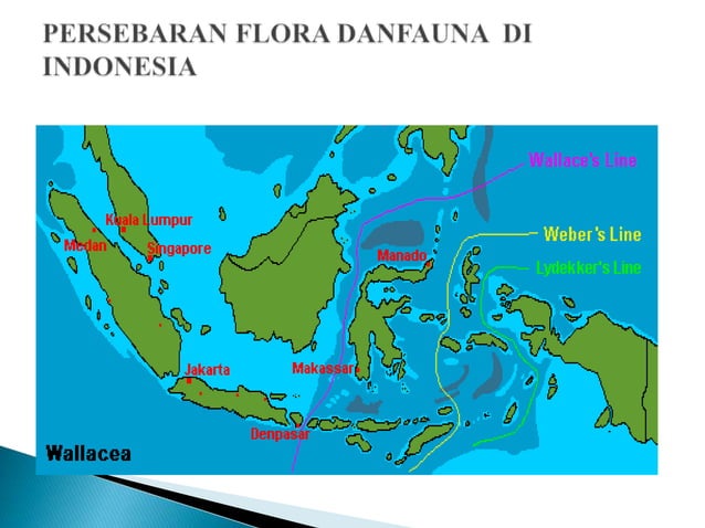 terbentuknya kepulauan indonesia.pptx