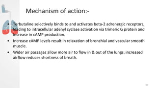 TERBUTALINE MEDICINAL CHEMISTRY.pptx