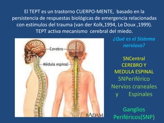 Tercera Unidad Neurobiologia-endocri del TEPT (2) (1).pptx