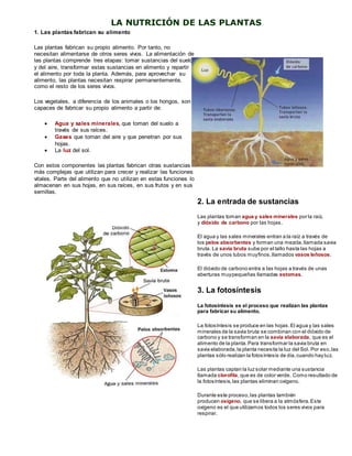 Tercer bimestr eunidad3-sesion06virnutricion vegertal | DOCX