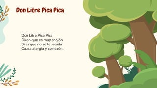 Don Litre Pica Pica | PPTX