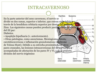 TERCER PAR CRANEAL.pptx