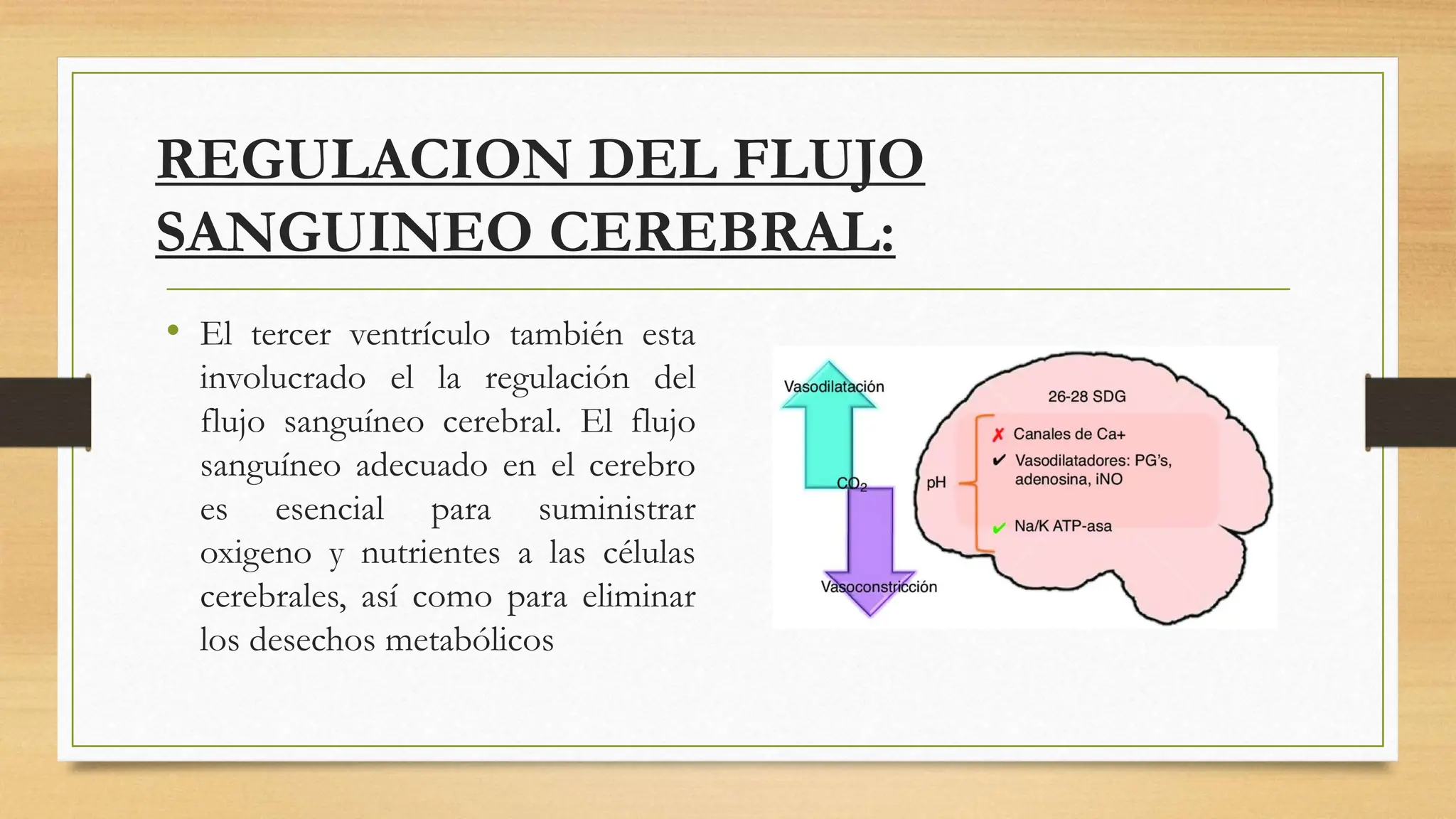Tercer Ventrículo estructuras y funciones | PPTX