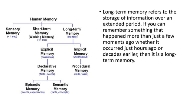 Imagination and Memory | PPT