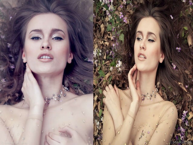 Lost in elysium | PPT