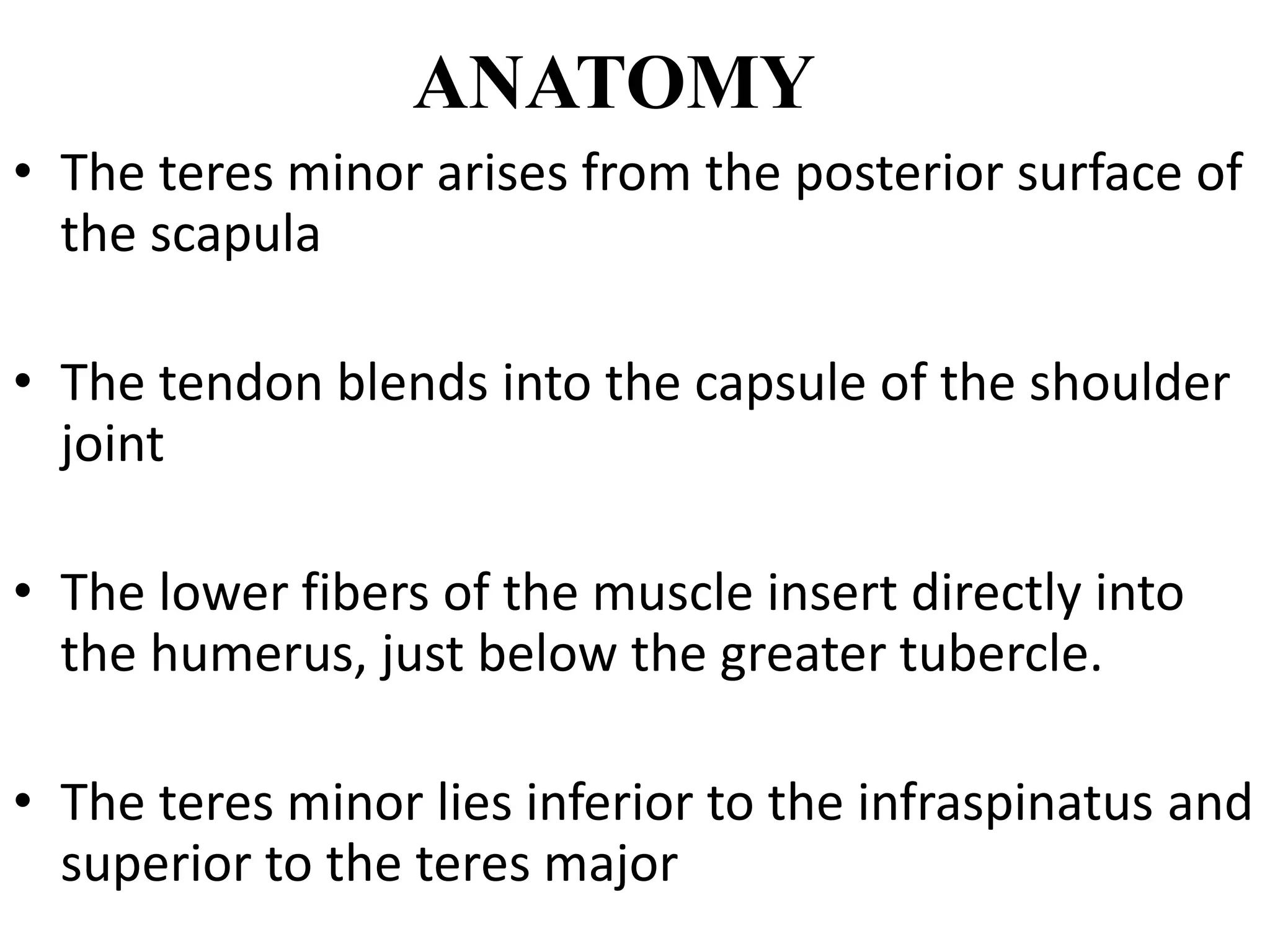 Teres minor tear test | PPT