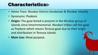 Teressa goat breed | PPTX