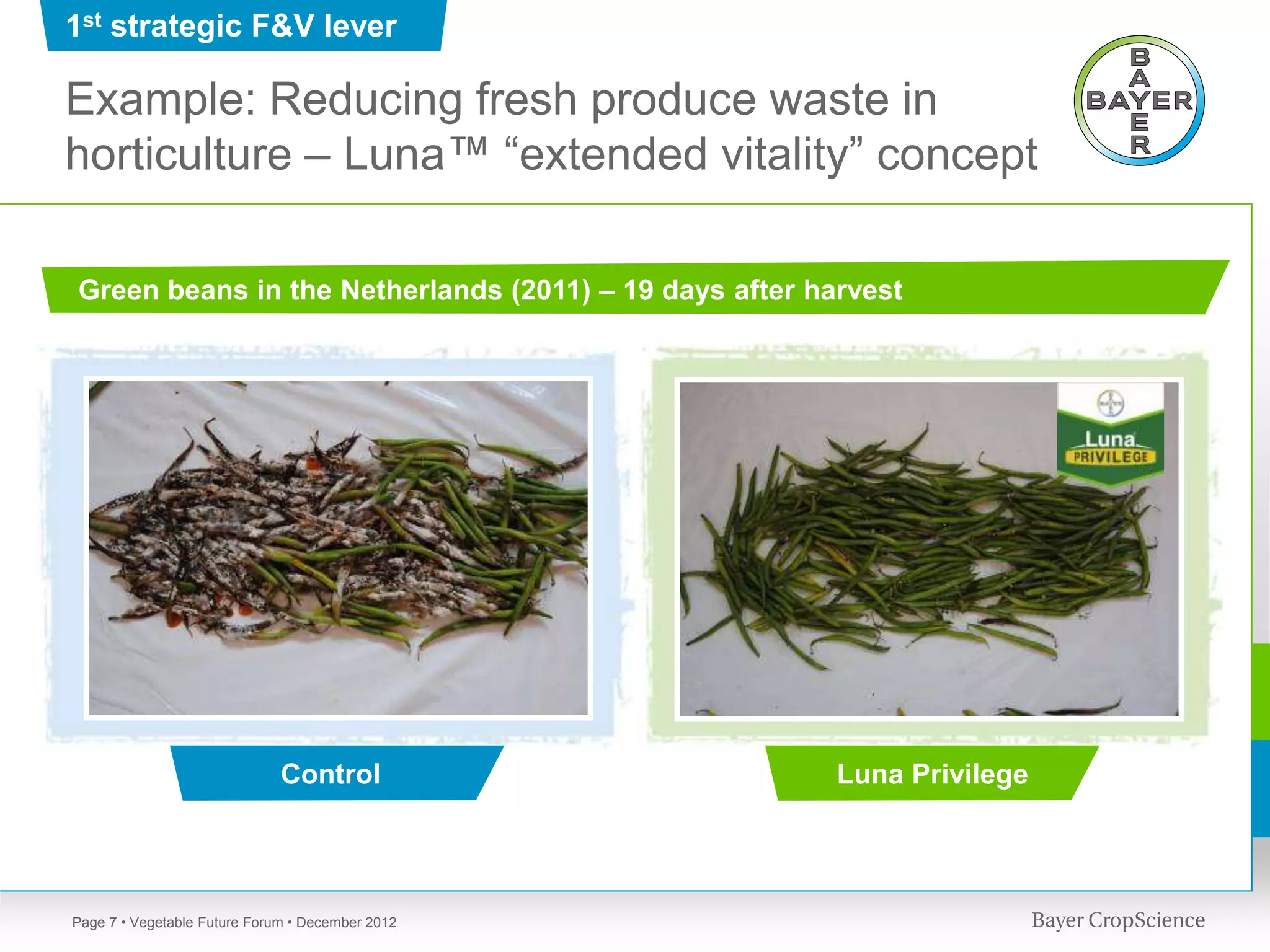 Fruits & Vegetables in Bayer CropScience | PPT