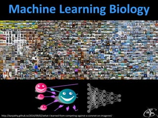 Complex Systems Biology Informed Data Analysis and Machine Learning ...