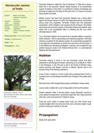 Teriminalia chebula | PDF