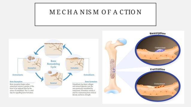 TERIPARATIDE INJECTION - PARATHYROID ANALOG.pptx | Bone and Joint ...