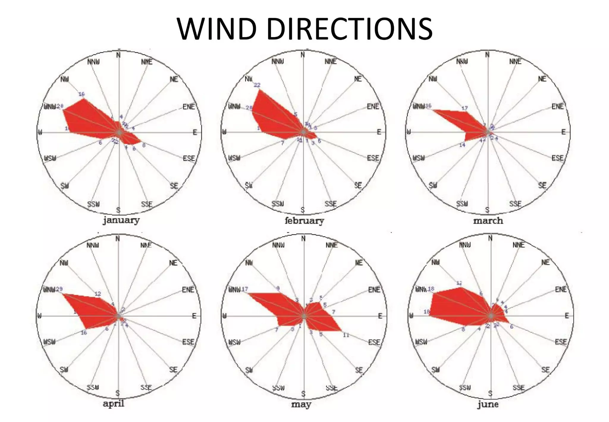 Teri retreat case study | PDF