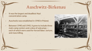 Term 1 Week 4 The Holocaust - Year 10 Modern History | PPTX
